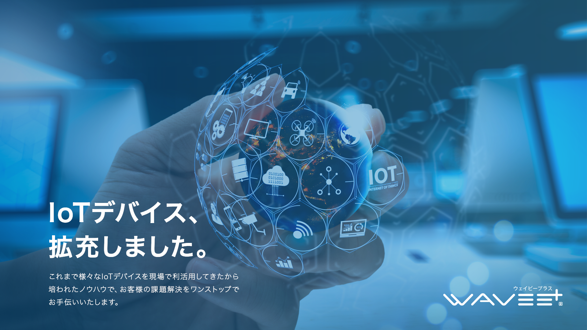 製品一覧 ｜ WAVEE+®